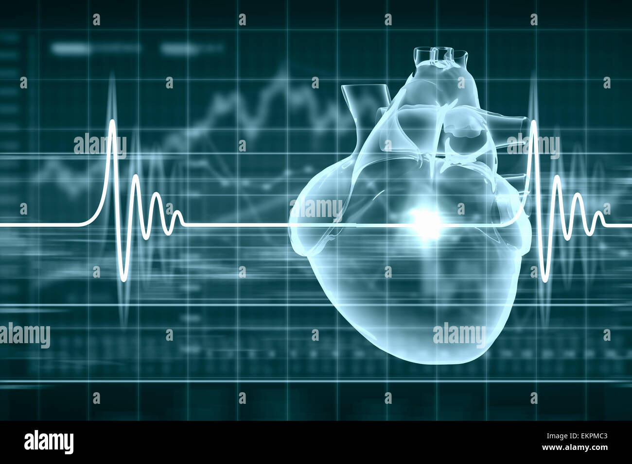 Human heart beats Stock Photo - Alamy