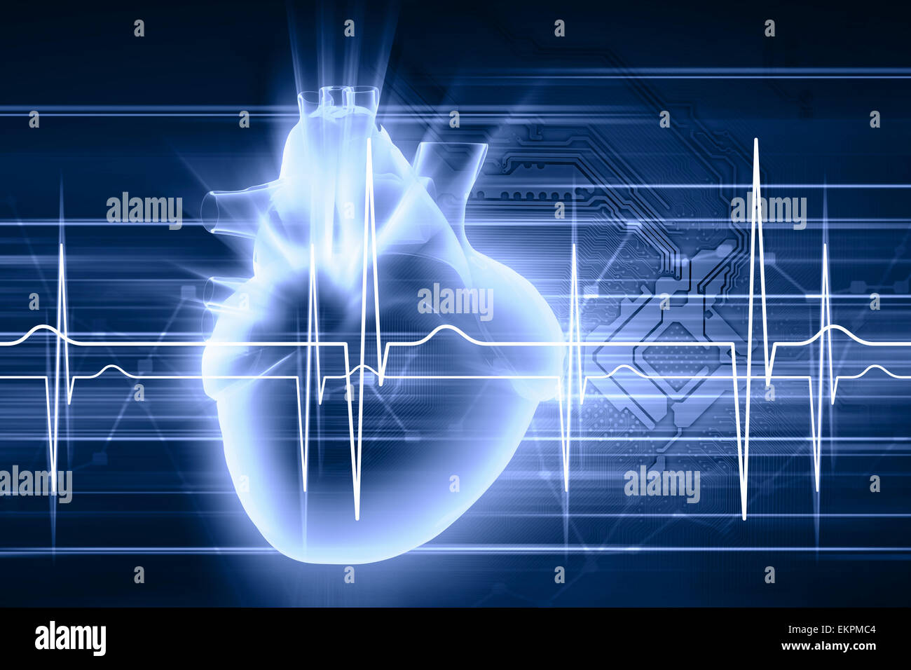 Human heart beats Stock Photo - Alamy