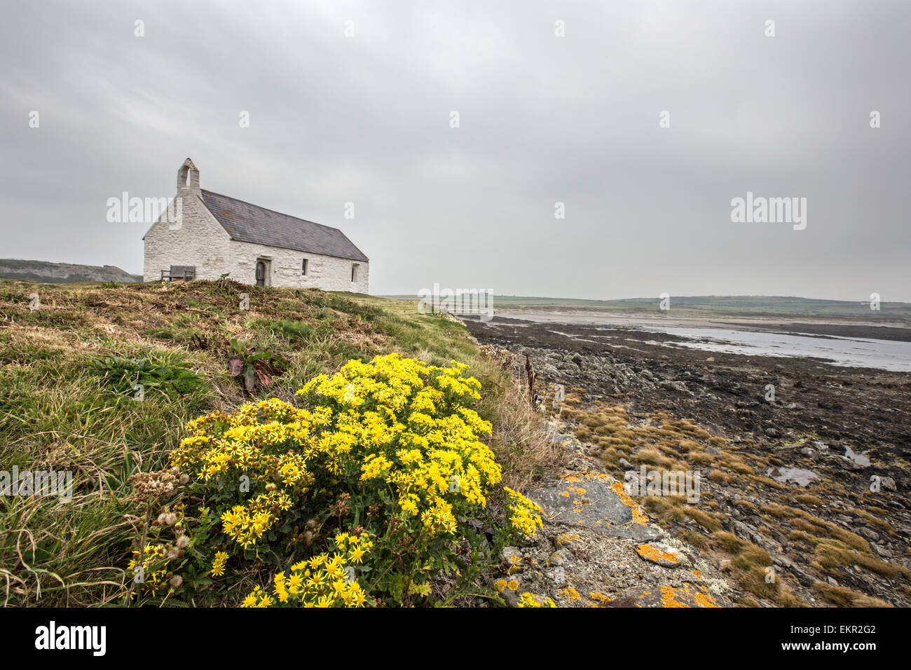 The tidal island of Cribinau and St Cwyfan's church, Anglesey, Gwynedd ...