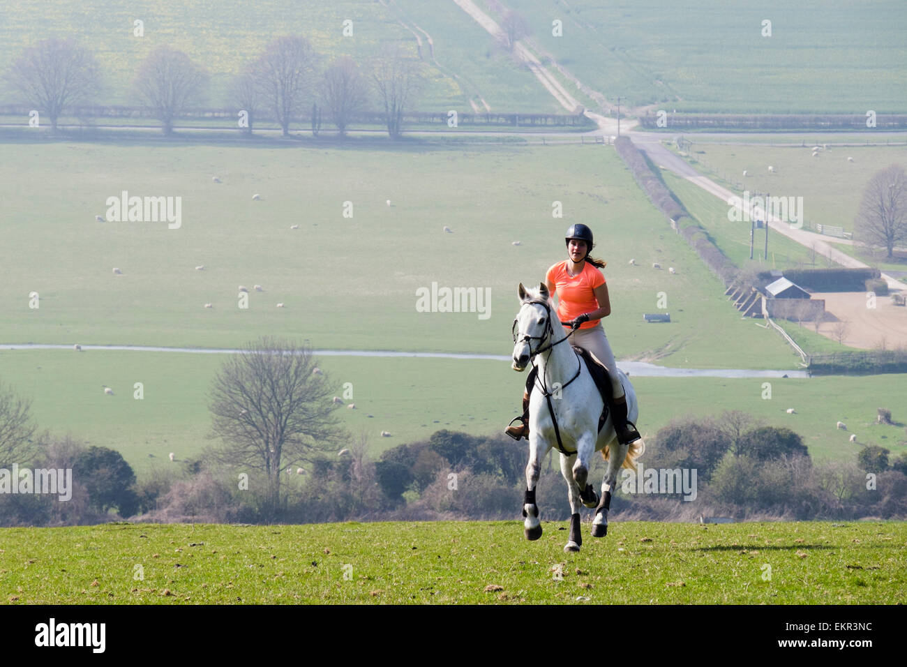Young woman riding white horse hi-res stock photography and images - Alamy