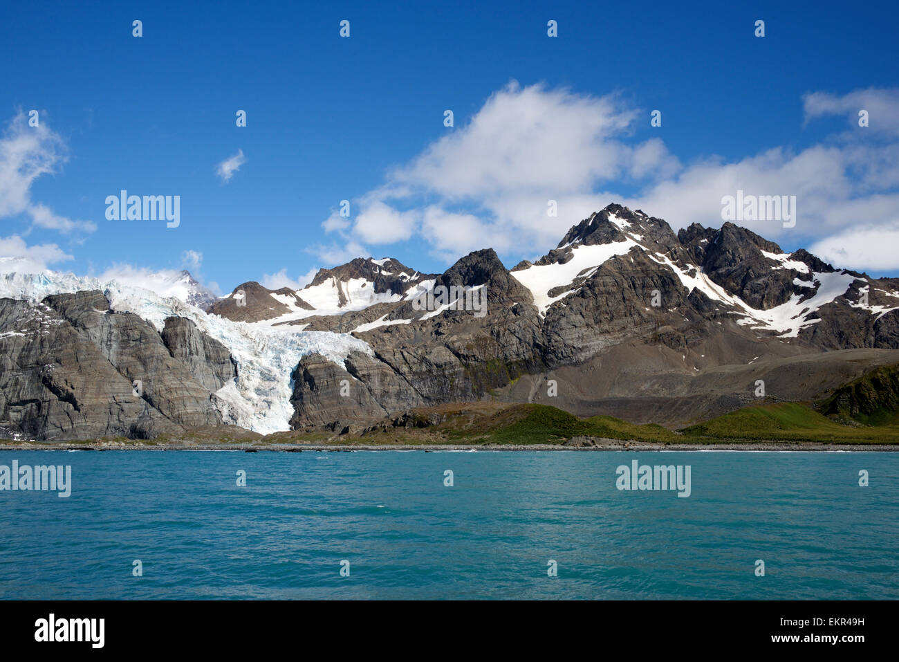Snowcapped mountains cliffs and glacier Gold Harbour South Georgia ...