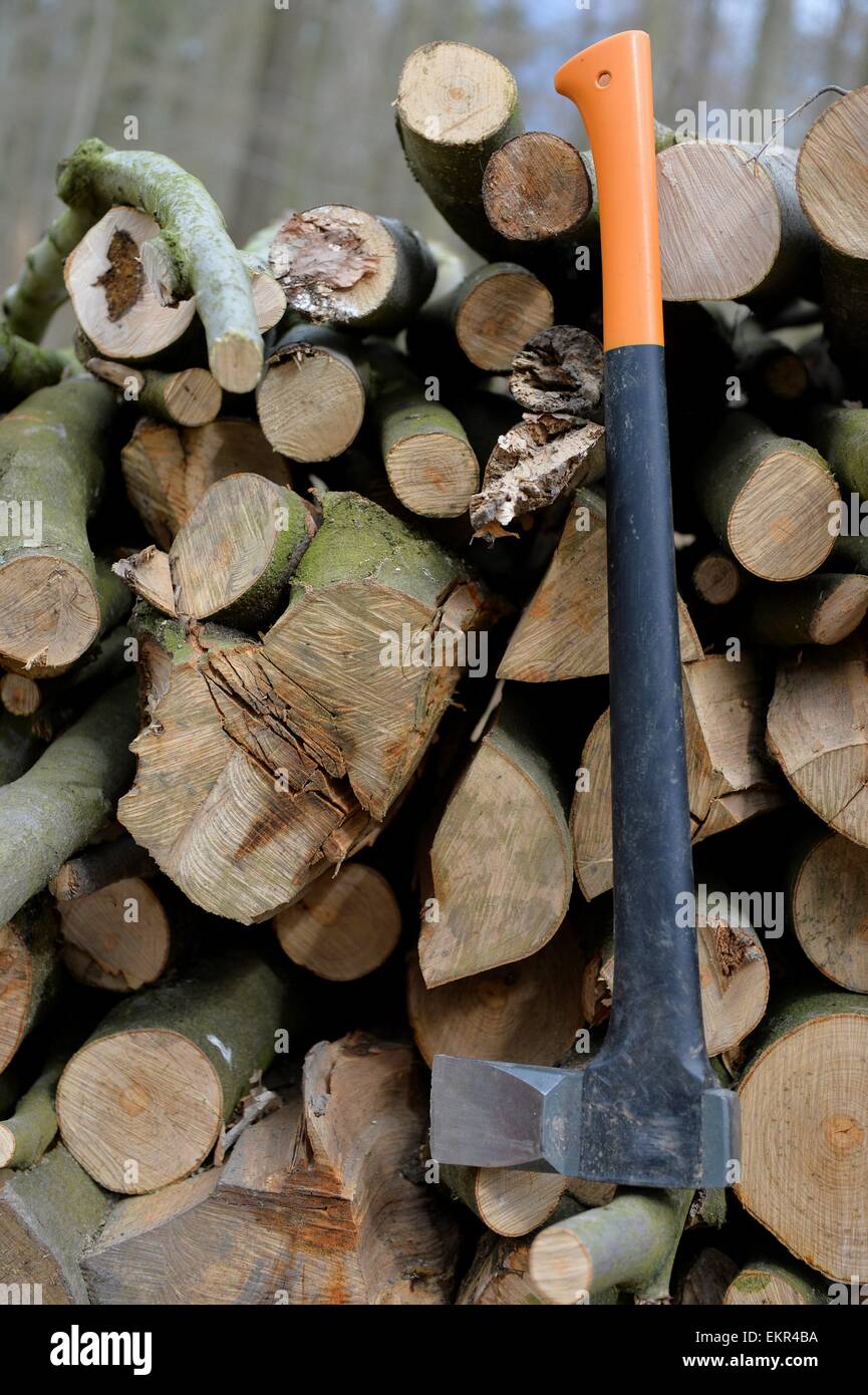 Lumbering in the forest, Germany, near city of Pöhlde, 11. April 2015 ...