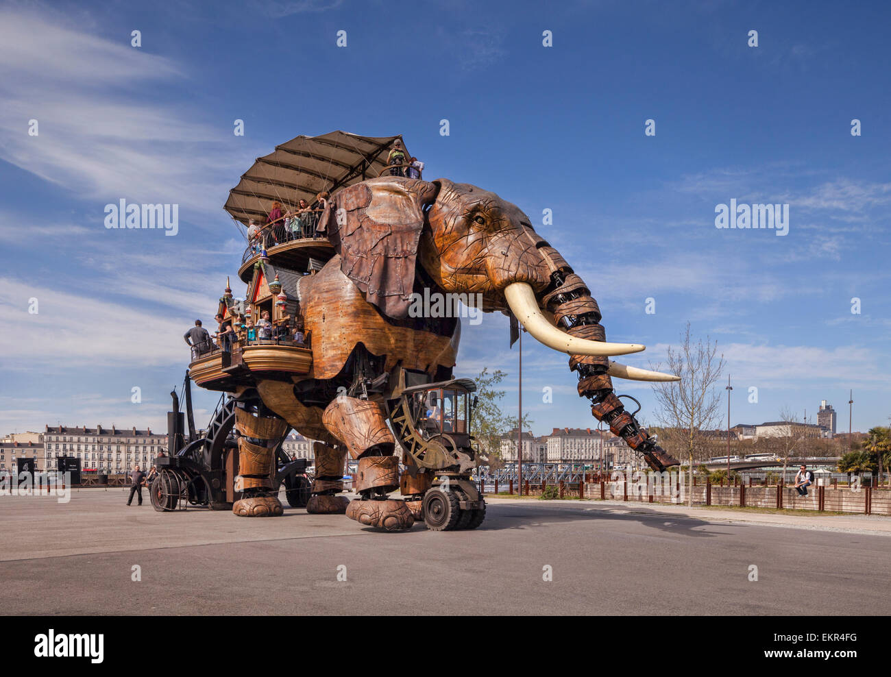 Great Elephant High Resolution Stock Photography and Images - Alamy