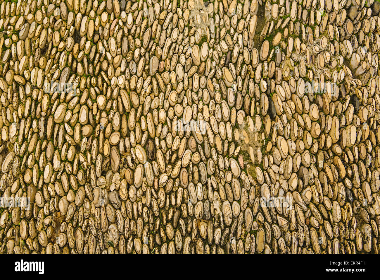 Pebble pavement is wrapped with rain water. It is photographed close-up ...
