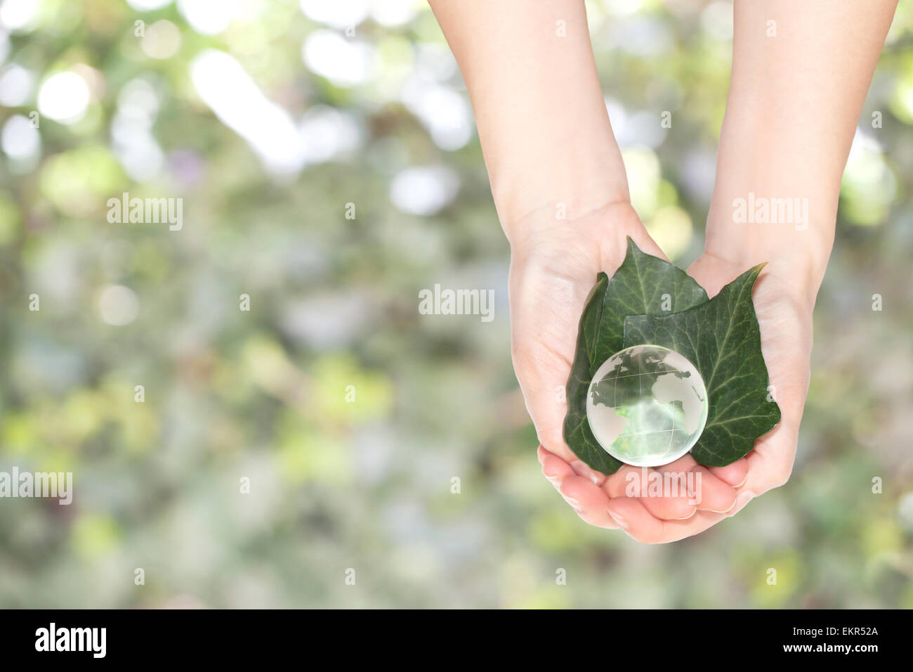 Ecological ecology hi-res stock photography and images - Alamy