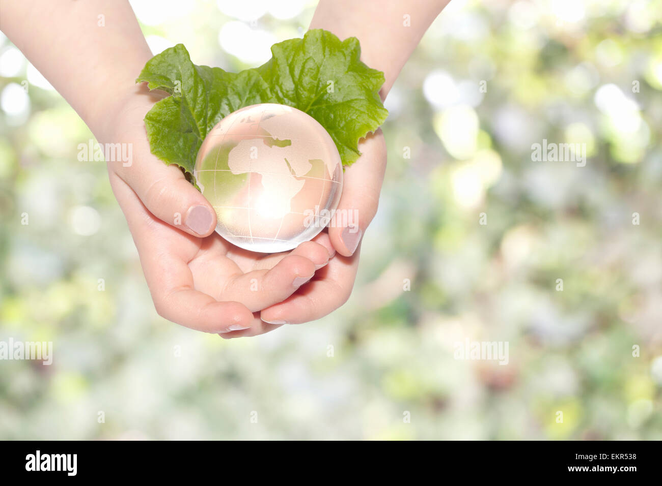 Ecological map hi-res stock photography and images - Alamy