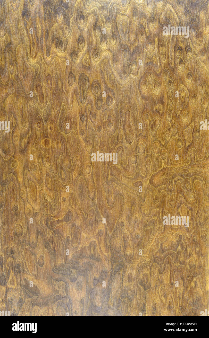 Brown beech wooden texture as a background Stock Photo - Alamy