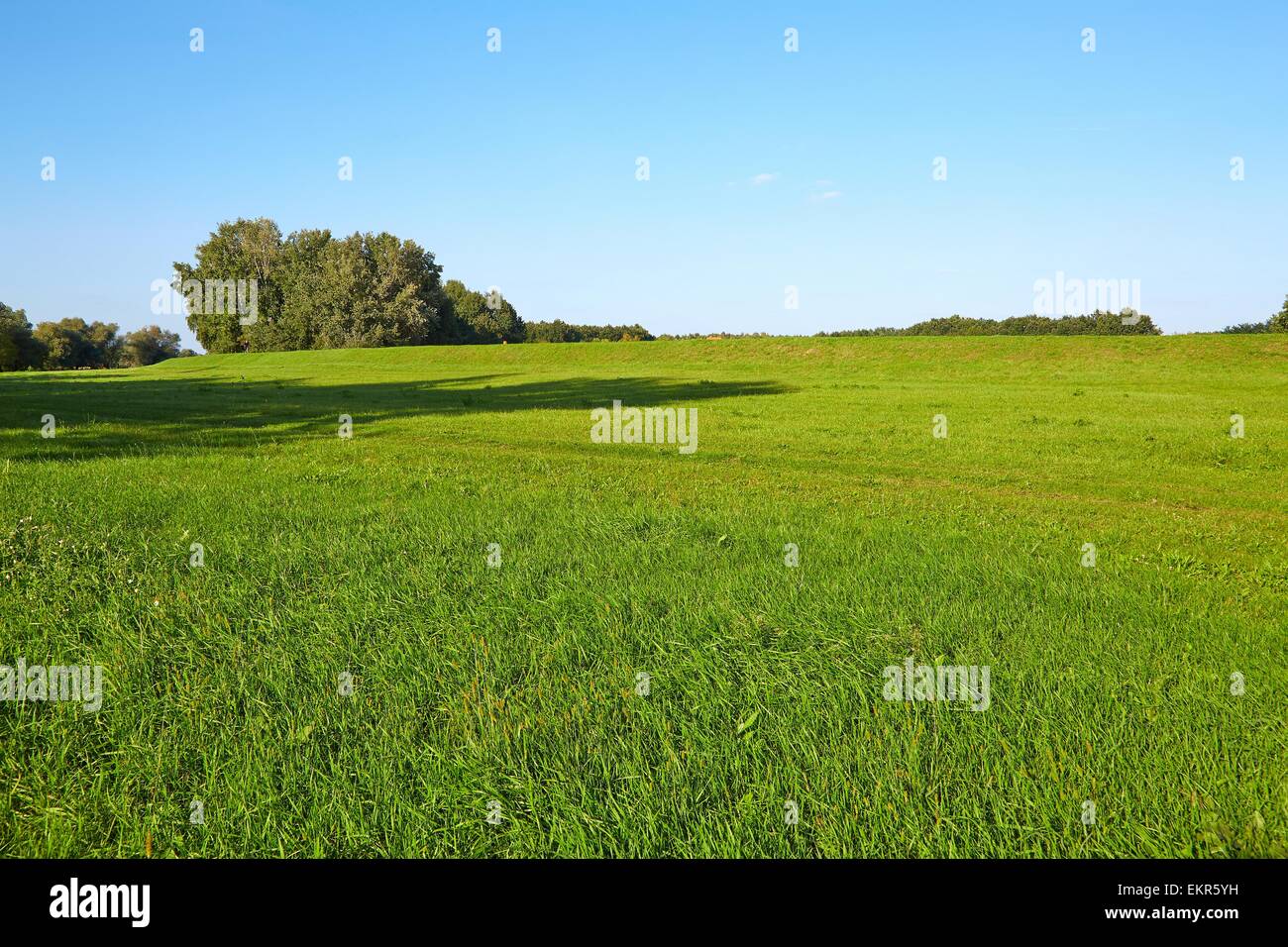 Flat grass field hi-res stock photography and images - Alamy