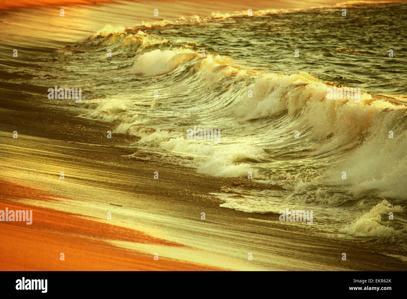 Breaking to land hi-res stock photography and images - Alamy