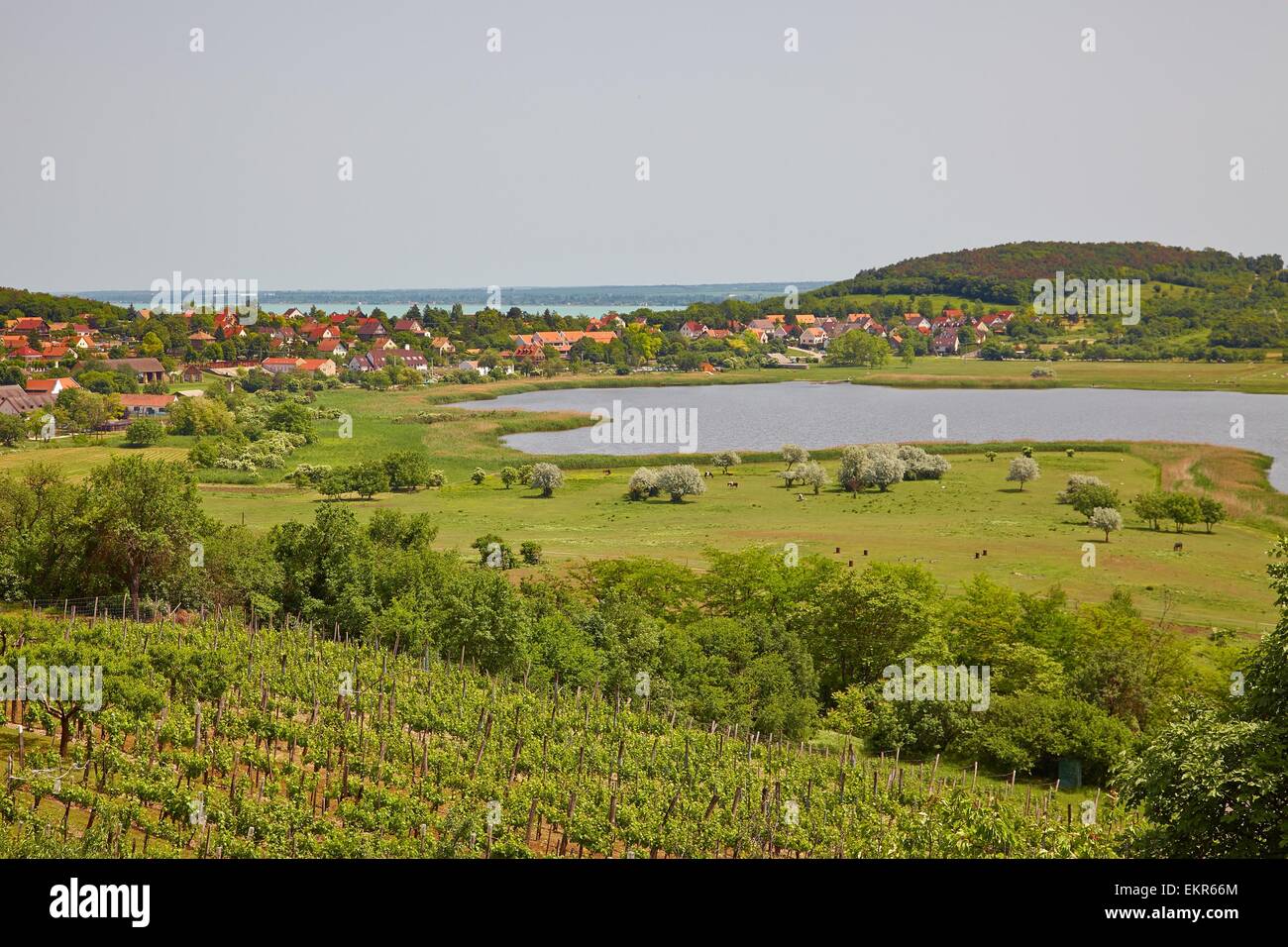 Balaton landscape hi-res stock photography and images - Alamy