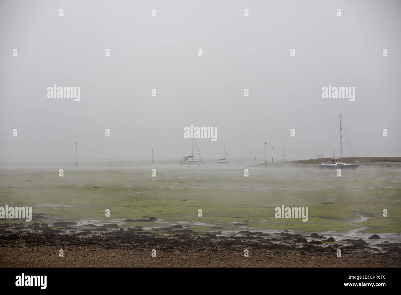 Sea fog covers the upper reaches of Chichester Harbour on a spring ...