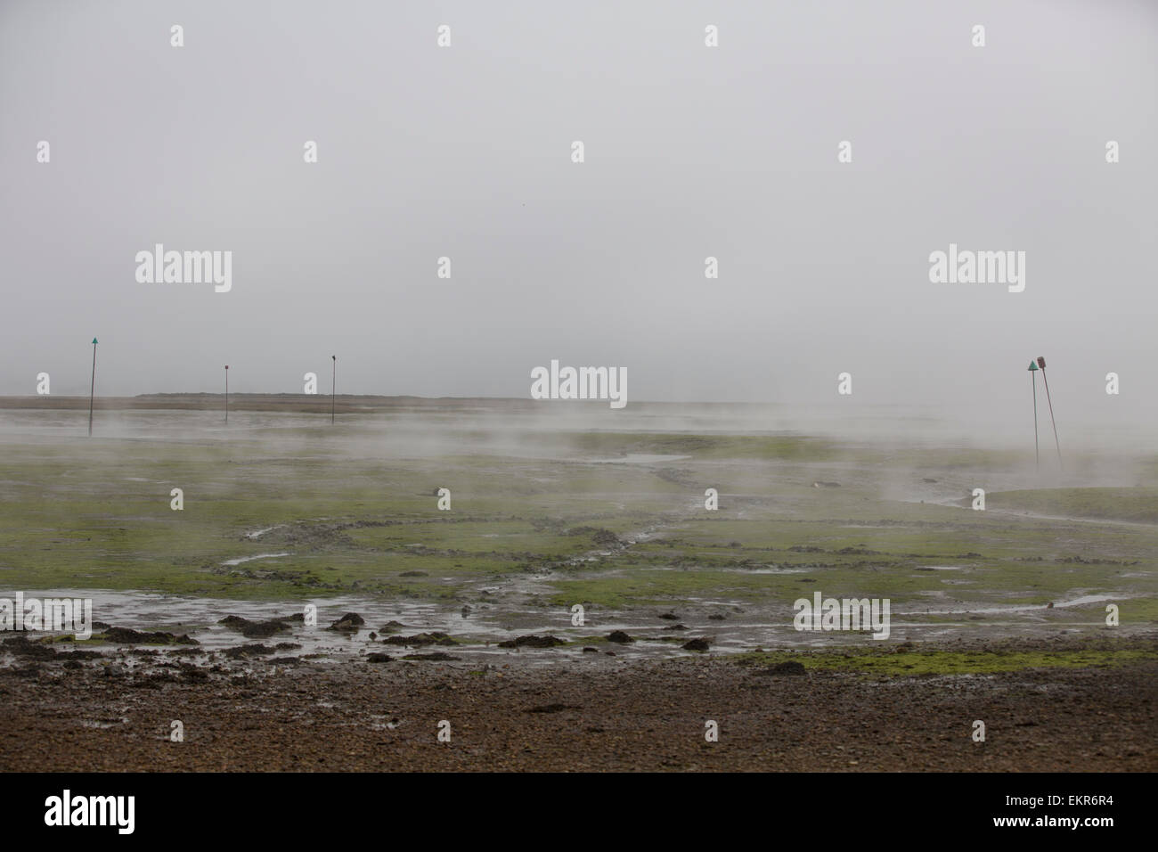 Sea fog covers the upper reaches of Chichester Harbour on a spring ...