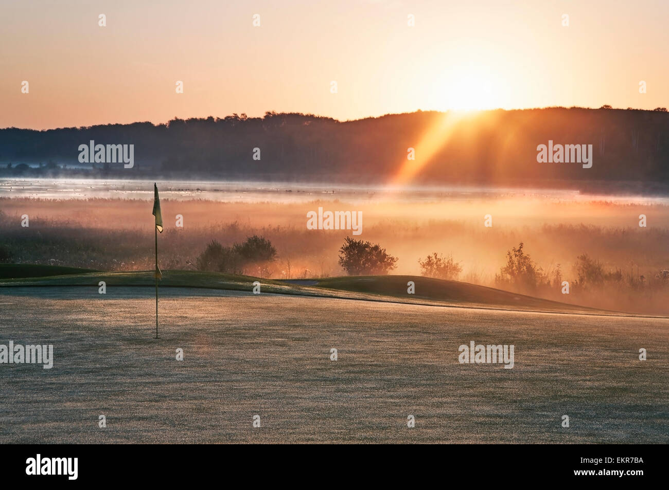 Glowing dawn light on a golf course green. The sun just appearing above ...