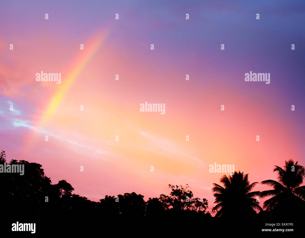 beautiful sunset with rainbow over jungle, thailand Stock Photo - Alamy