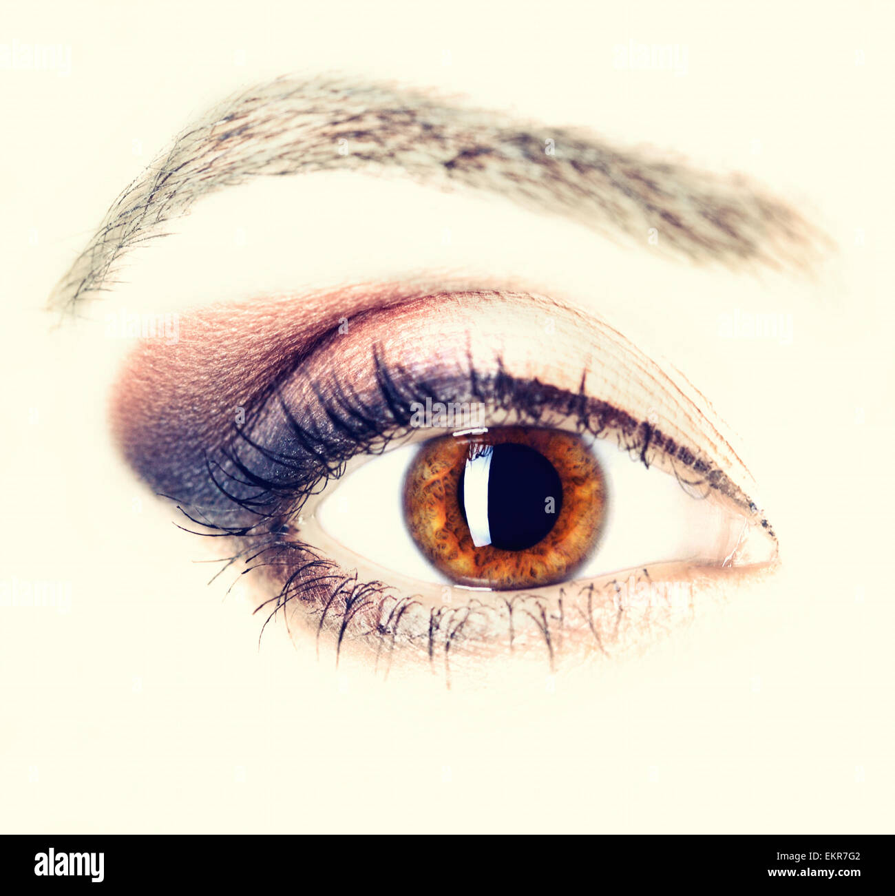 Human eye hi-res stock photography and images - Alamy