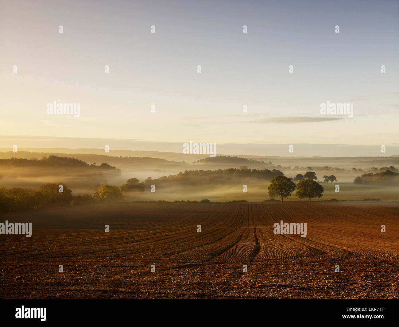 A ploughed field and view over surrounding undulating hills, at dawn ...