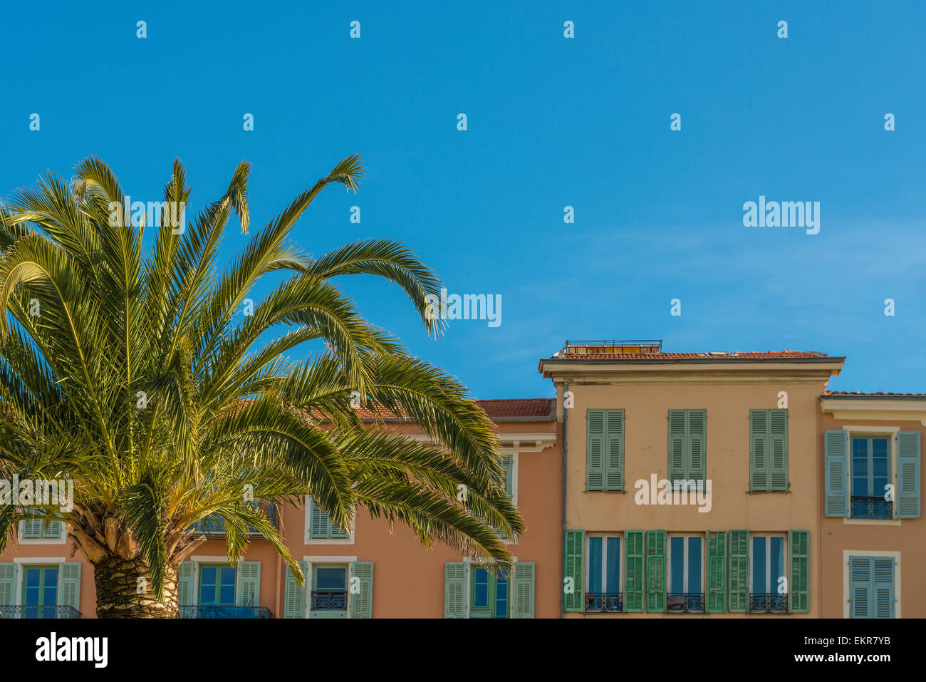 Traditional coloured buildings on the French Riviera with a palm tree ...