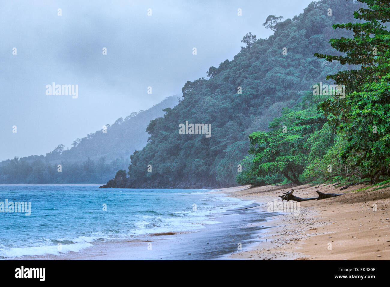 Andaman sea beach under rain, Samui, Thailand Stock Photo - Alamy