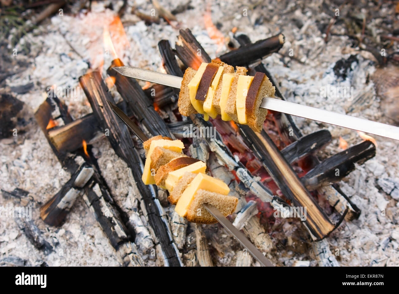 Cheese and bread roasted on the fire on the metal sticks Stock Photo ...