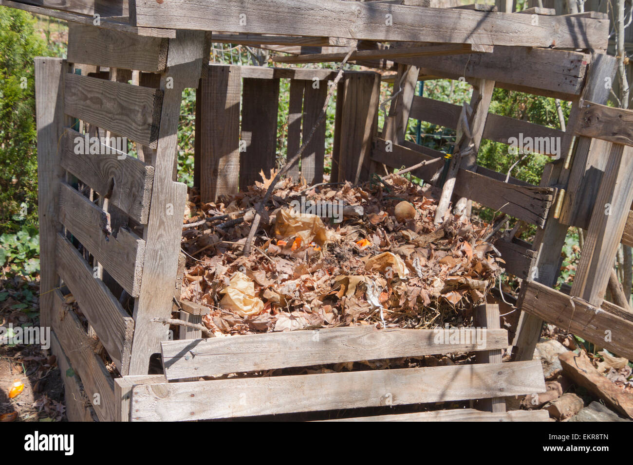 A rickety, home made compost bin outside made of recycled wood and ...