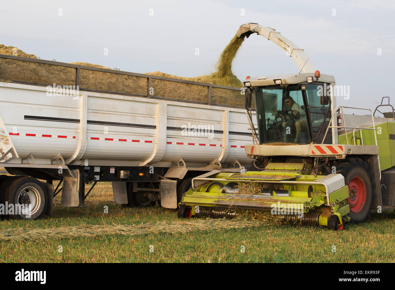 Crop field side view hi-res stock photography and images - Alamy