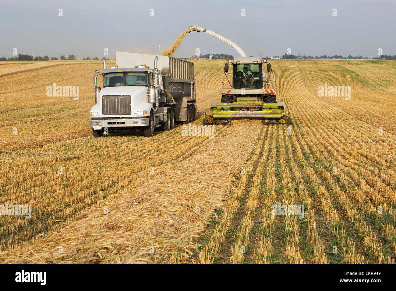 Crop chopper hi-res stock photography and images - Alamy