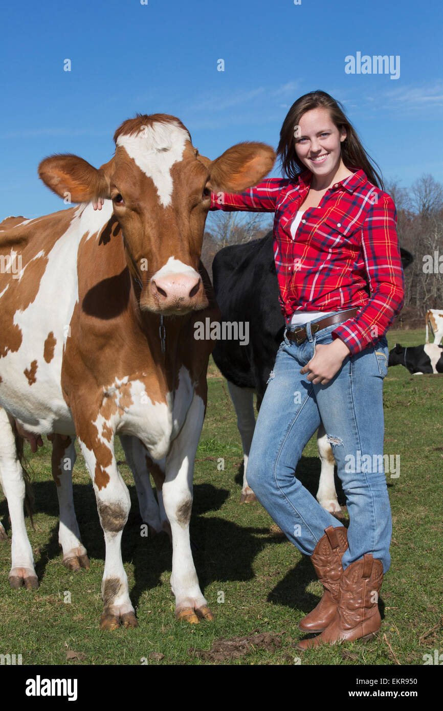 Heifer 24 hi-res stock photography and images - Alamy