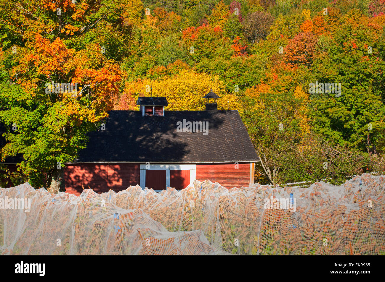 Knowlton quebec hi-res stock photography and images - Alamy