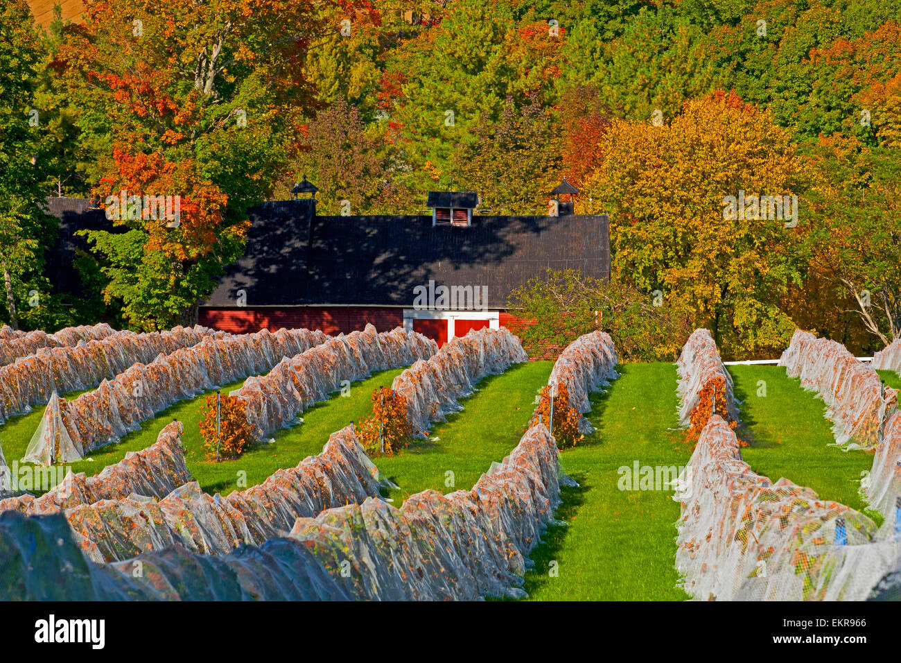 Knowlton quebec hi-res stock photography and images - Alamy