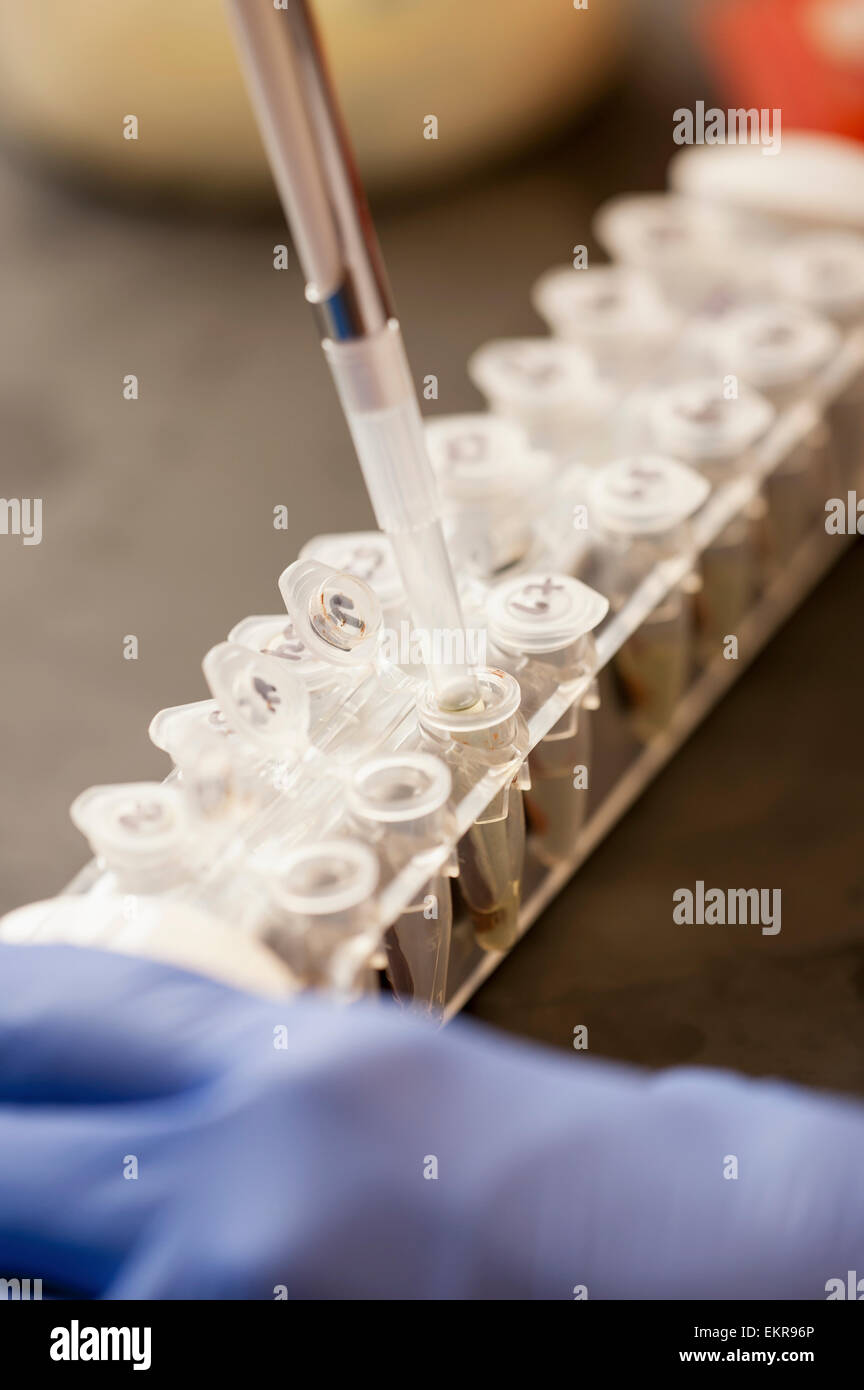 Scientific testing at a plant science lab; College Park, Maryland ...