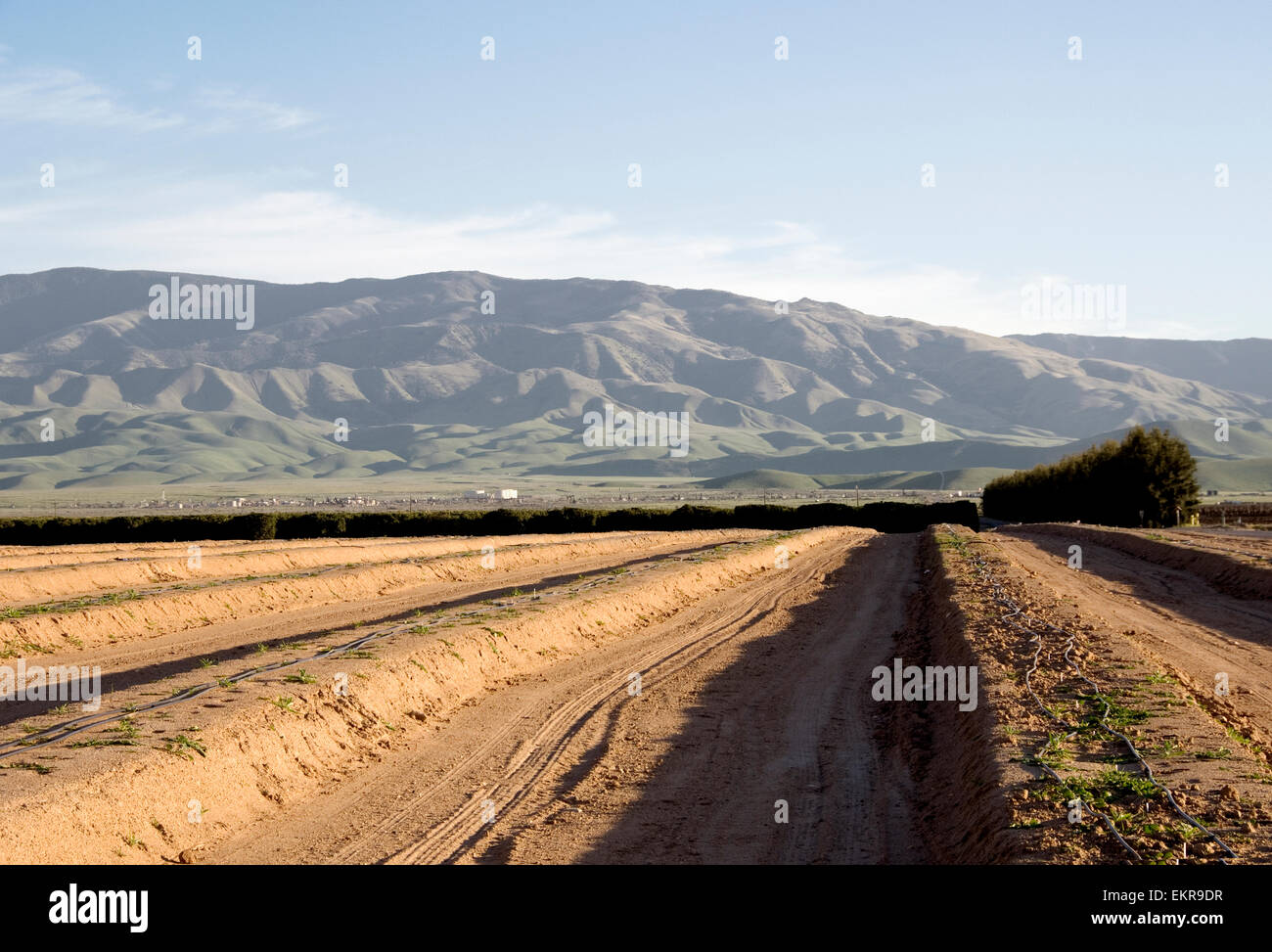 Dry irrigation channel on California farmland showing the critical ...