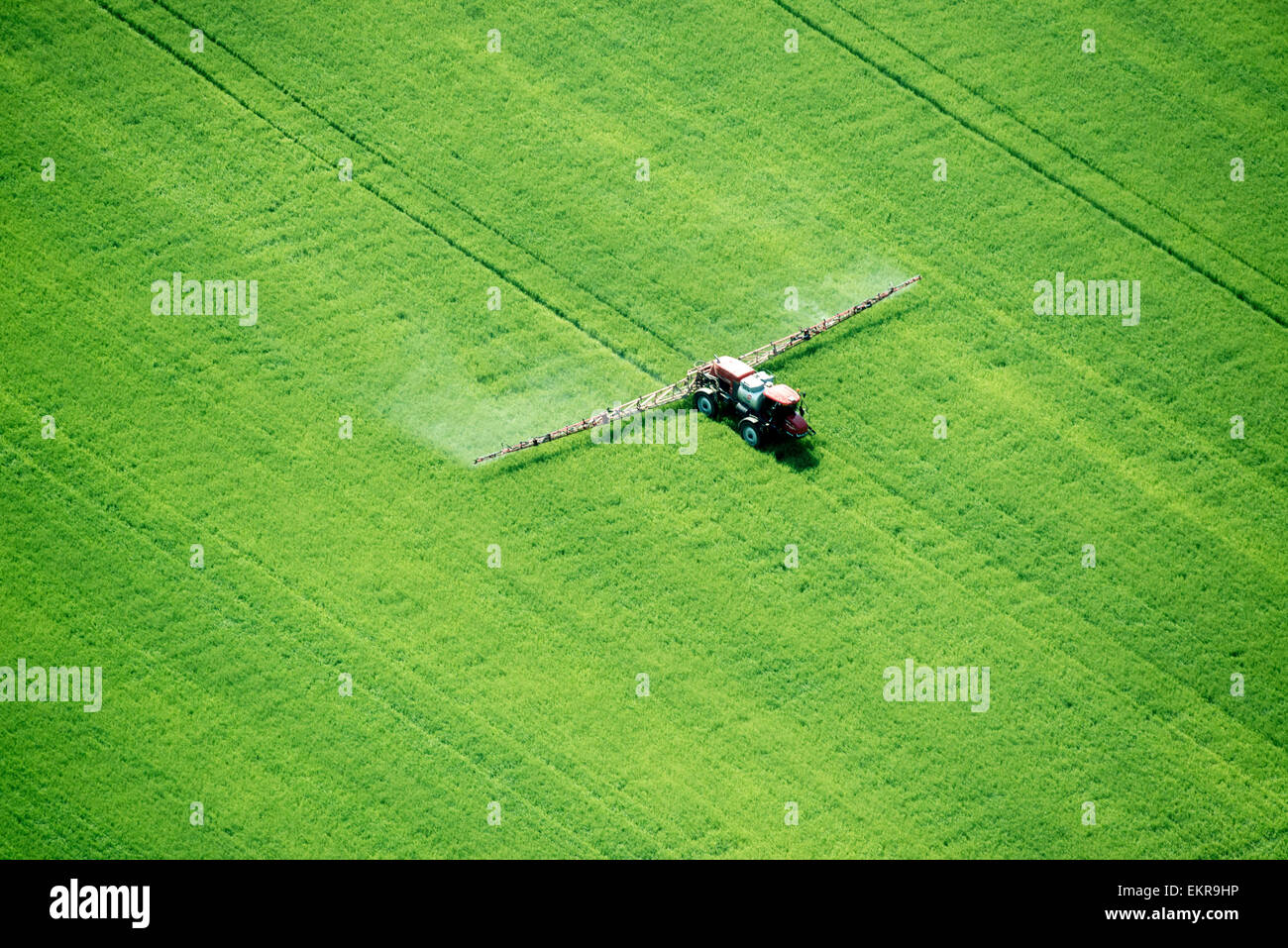 Aerial view of spray application in an early growth wheat field on the ...