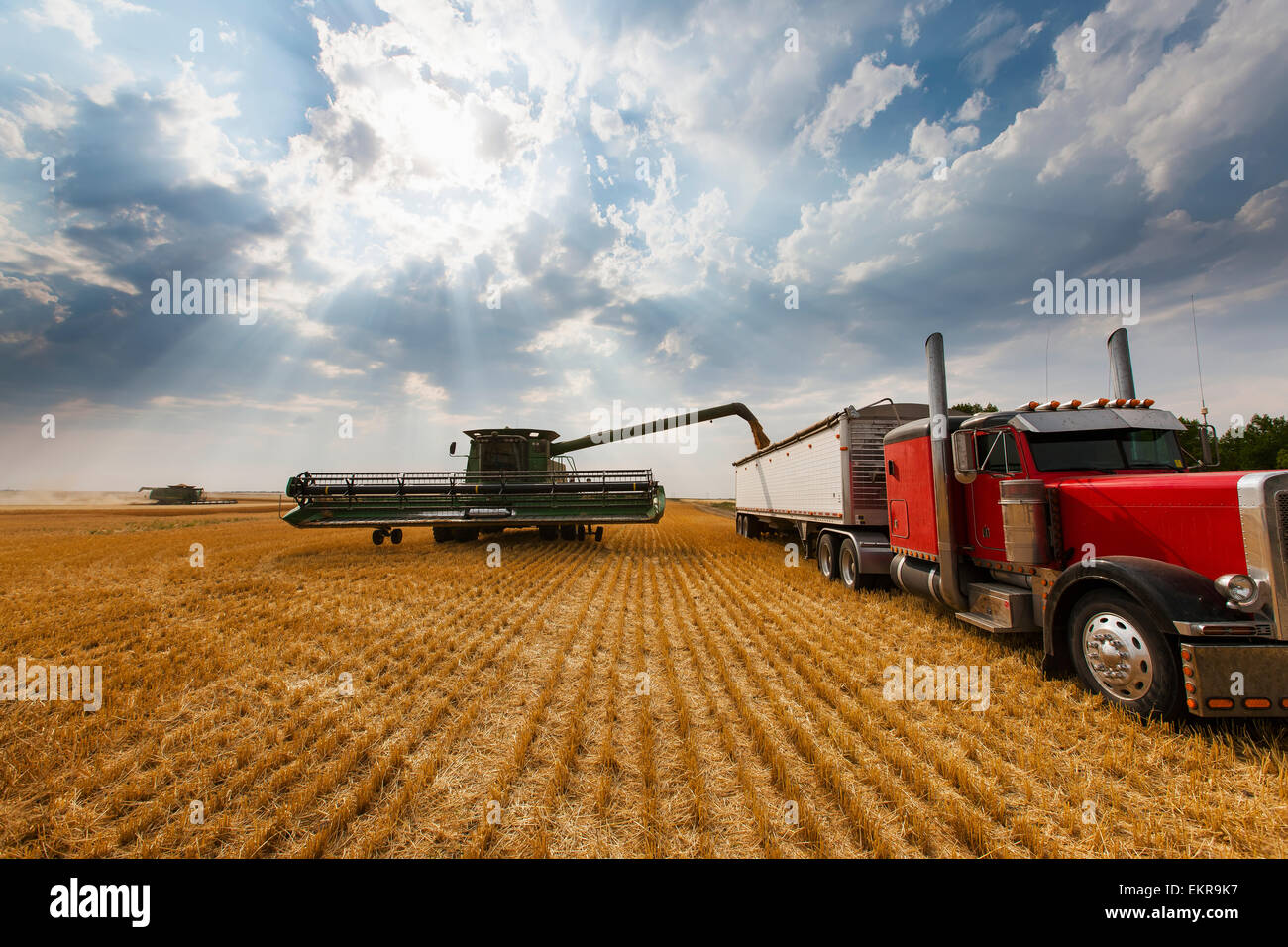 Custom harvest truck hi-res stock photography and images - Alamy