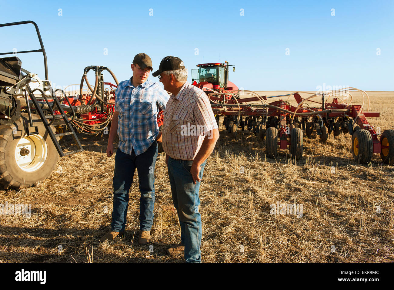 Farmers with heavy farm machinery planting lentils in Williams County ...