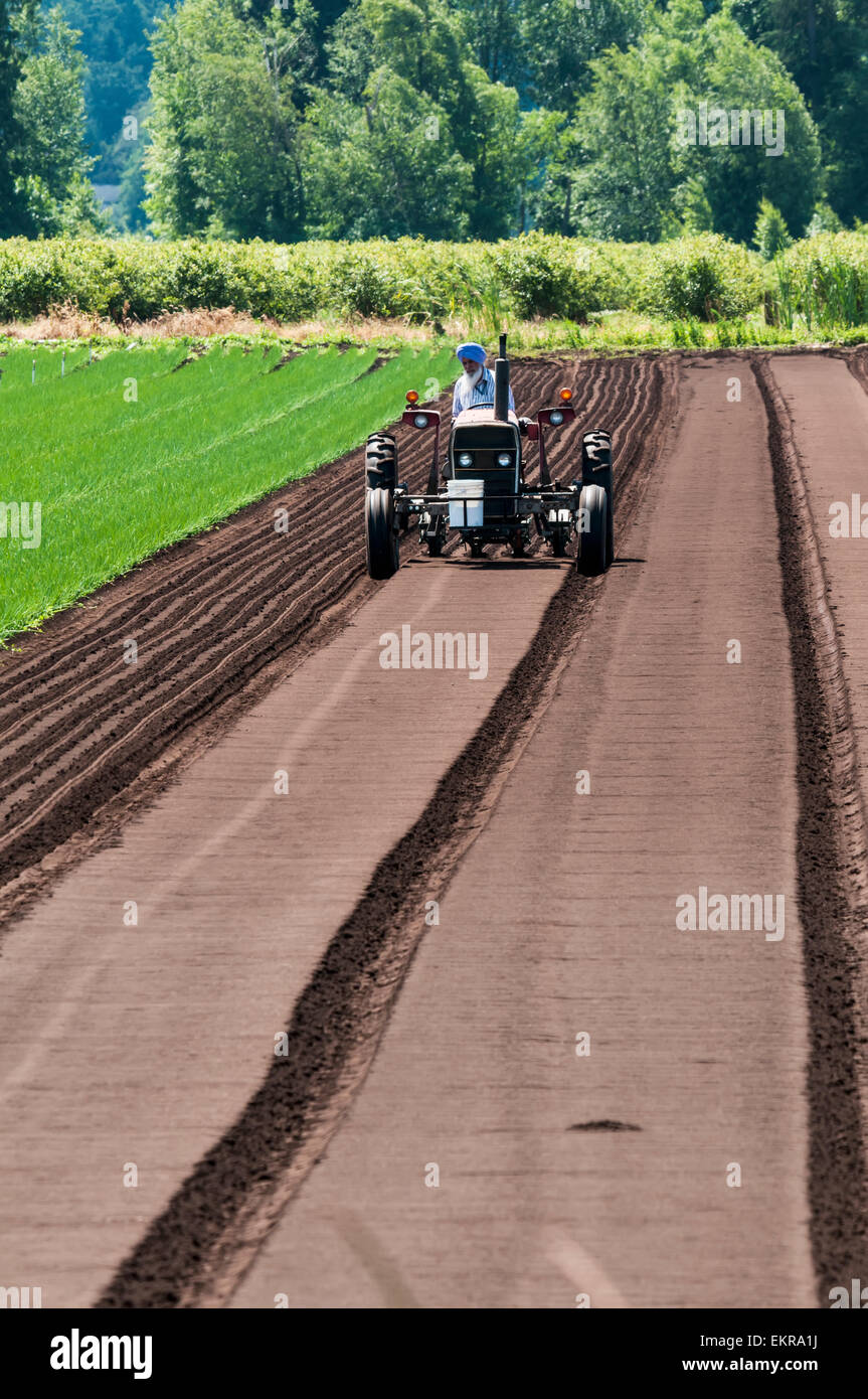 Plowing the farm fields in rich, dark soil; Surrey, British Columbia ...