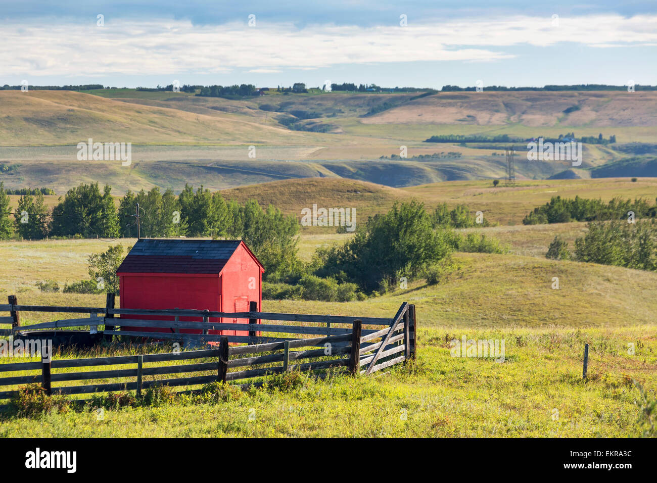 Small red barn and wooden fence in rolling fields with trees; Alberta ...