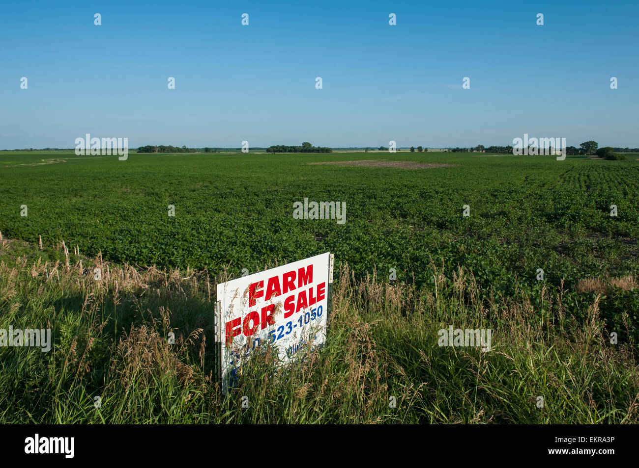 Sign saying farm for sale posted on farmland; United States of America ...