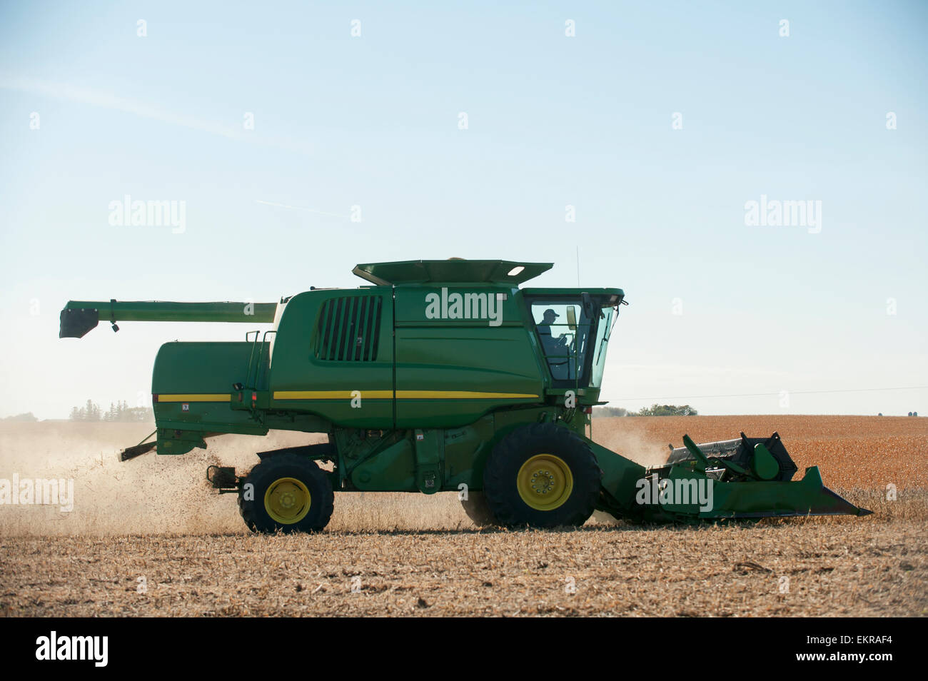 Green combine harvesting corn; United States of America Stock Photo - Alamy