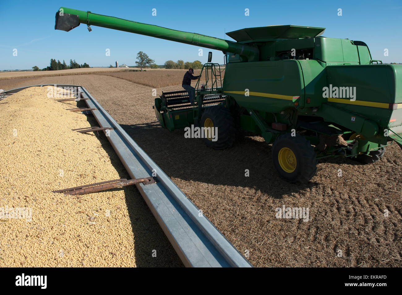 Harvesting with green combine; United States of America Stock Photo - Alamy
