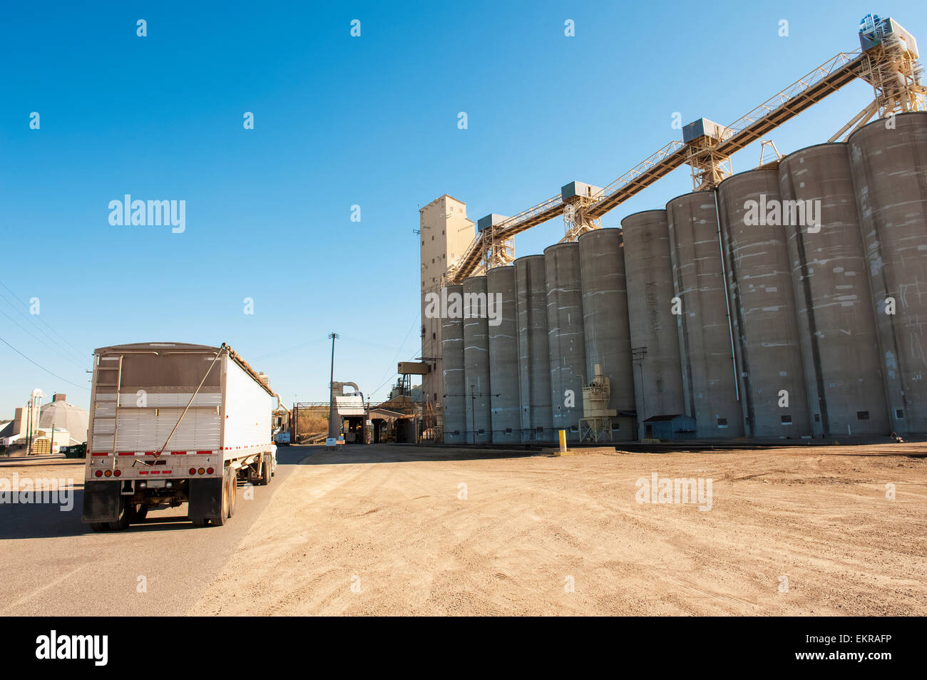 Soybean harvesting and storage; United States of America Stock Photo ...