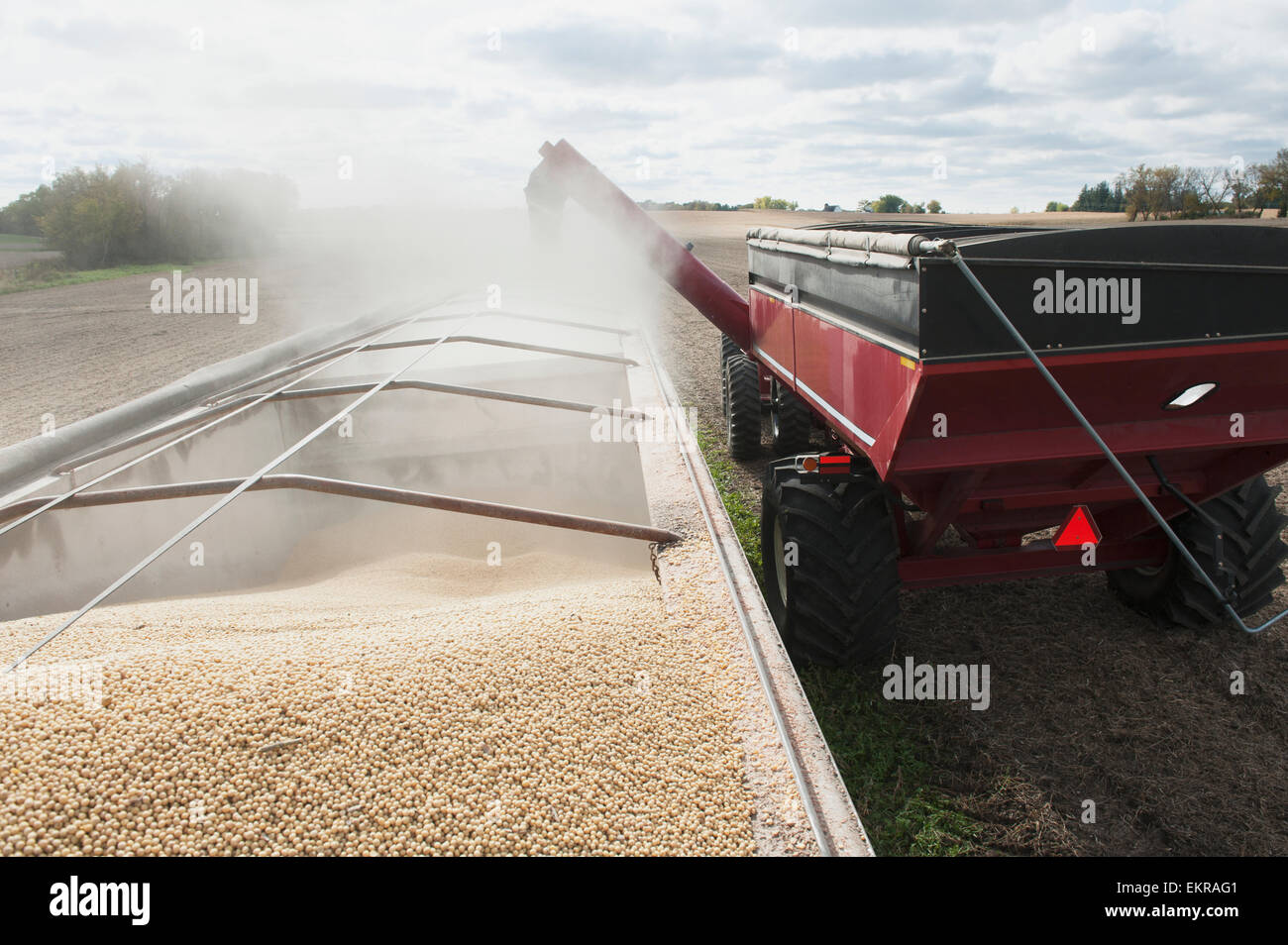 Soybean harvesting; United States of America Stock Photo - Alamy