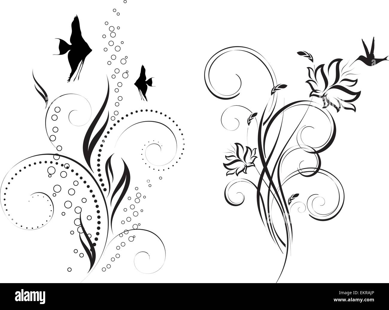 Fish to bird painting Black and White Stock Photos & Images - Alamy