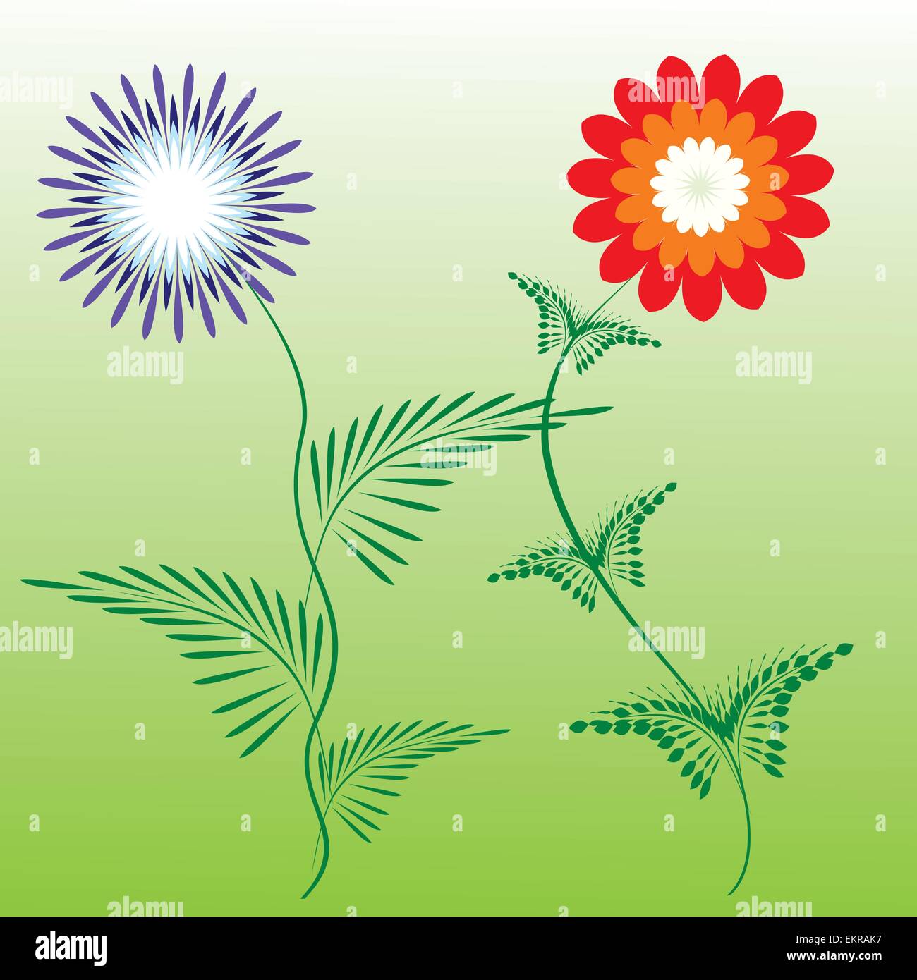 color vector image of two different flowers Stock Vector Image & Art ...