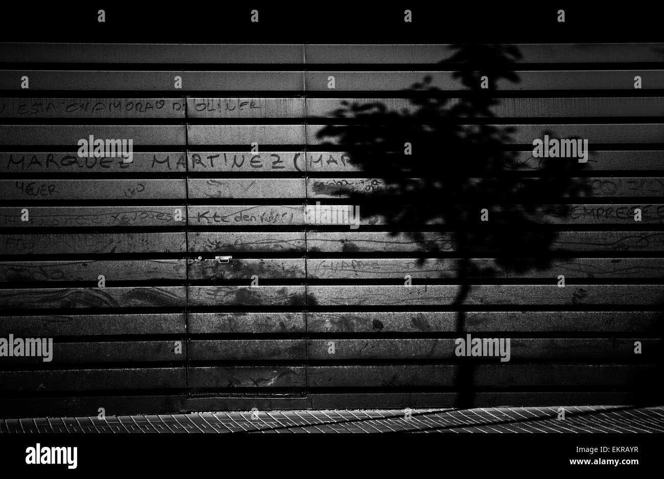 Naranjo orange tree hi-res stock photography and images - Alamy