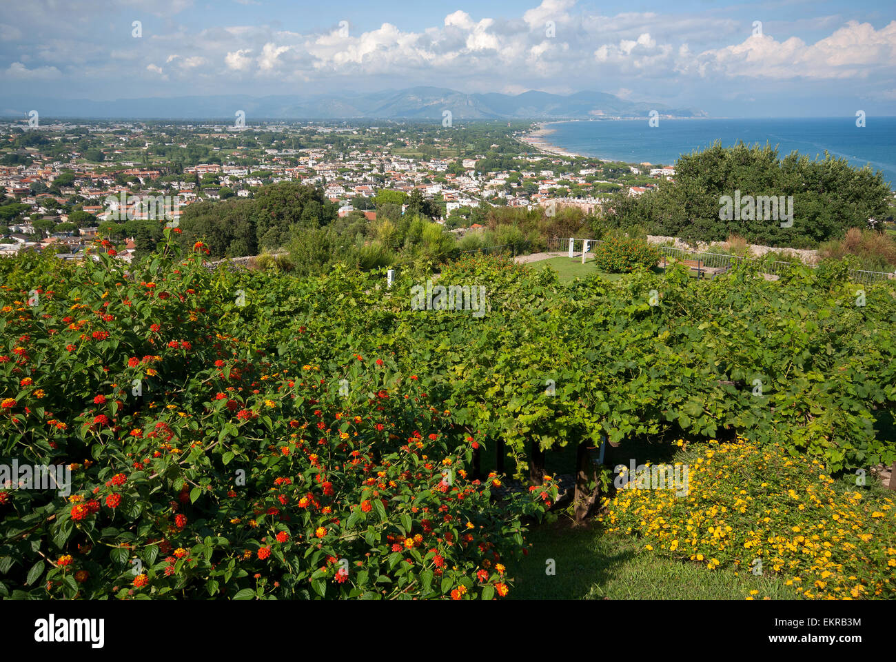 Vigna di corte hi-res stock photography and images - Alamy