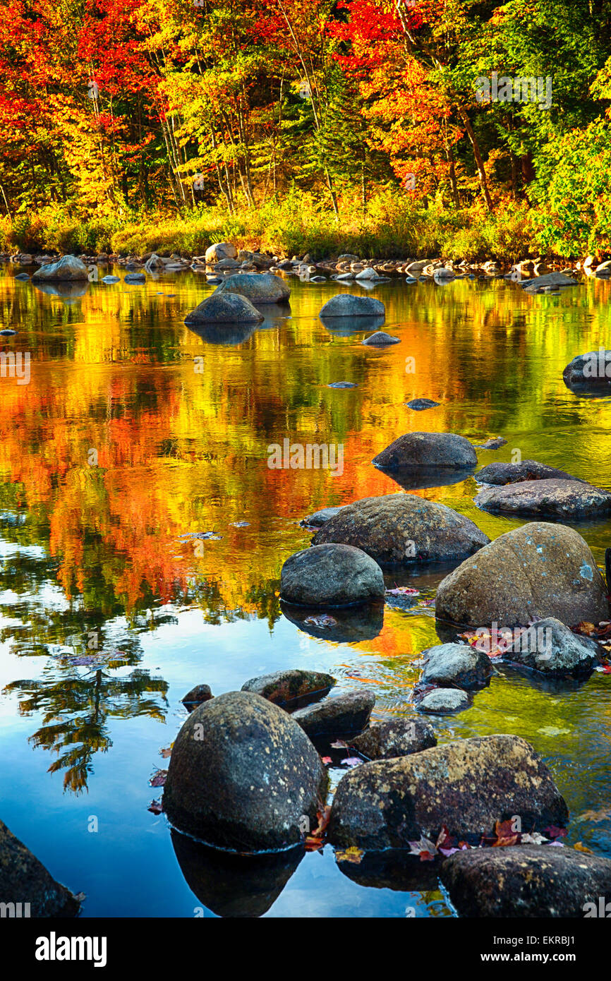 Reflections of nature and rivers hi-res stock photography and images ...