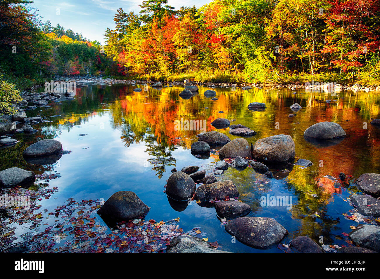 Colorful Trees along the Swift River, White Mountains National Forest ...