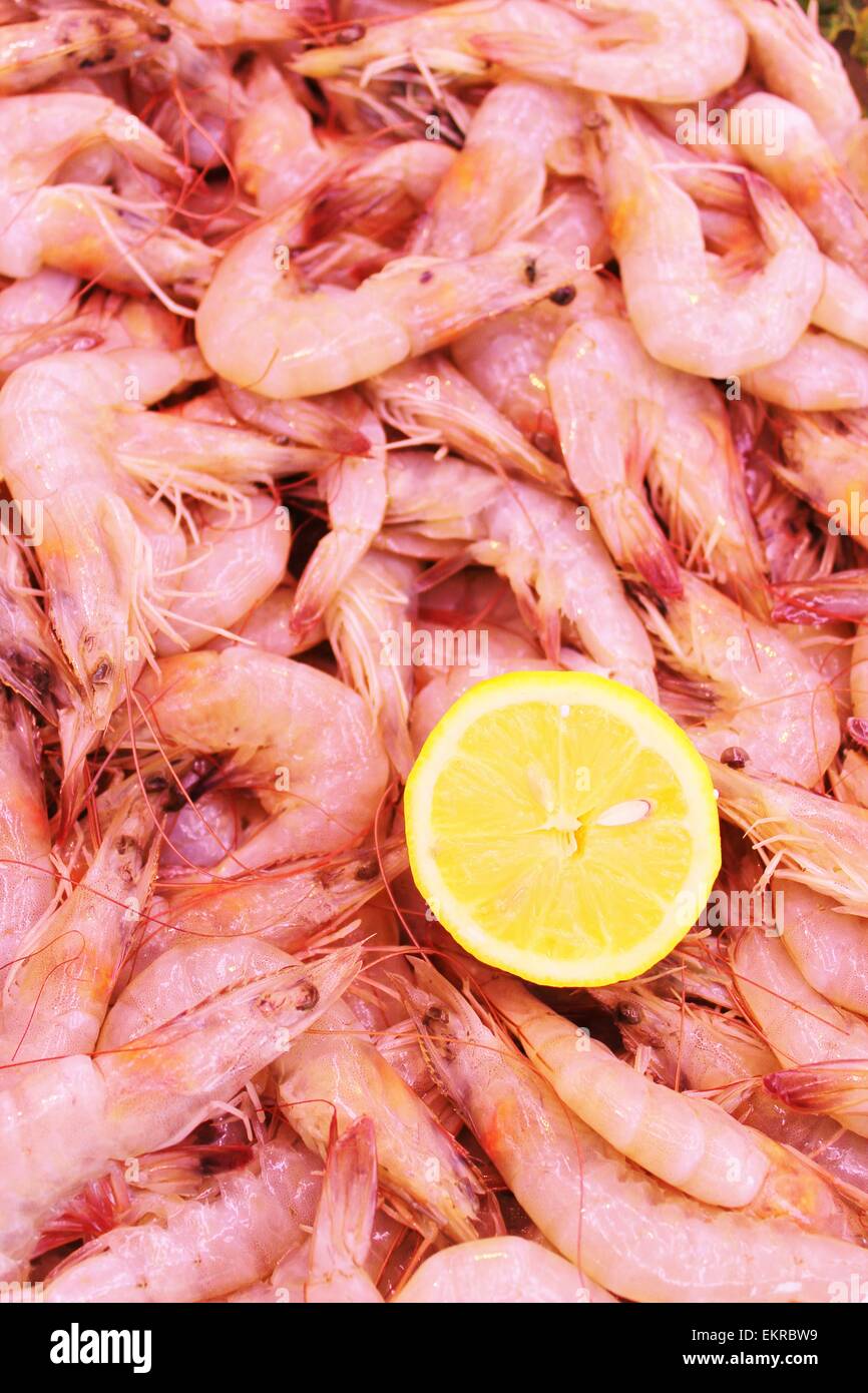 Prawns in fishmongers in shells with lemon, king, shrimp, cocktail ...