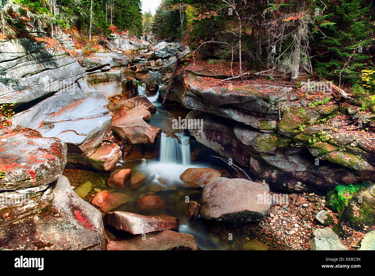 High Angle View of a Gorge wwith Cascades, Wild Ammonoosuc River, New ...