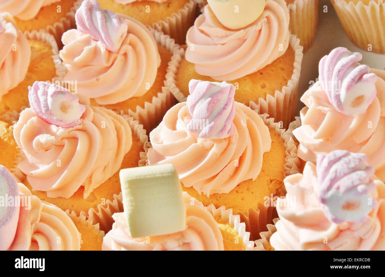 pastel colored cupcakes various Stock Photo - Alamy